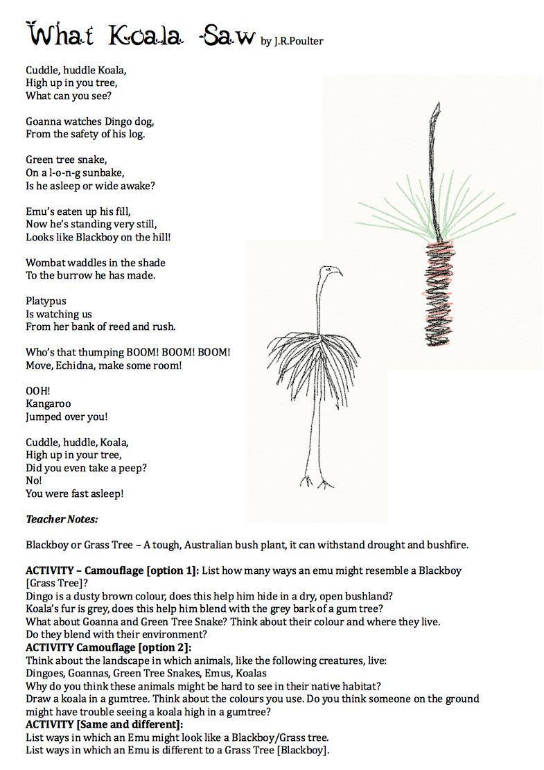 What Koala Saw by JR Poulter | Australian Children’s Poetry