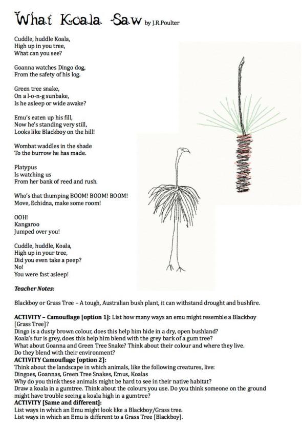 What Koala Saw by JR Poulter | Australian Children’s Poetry