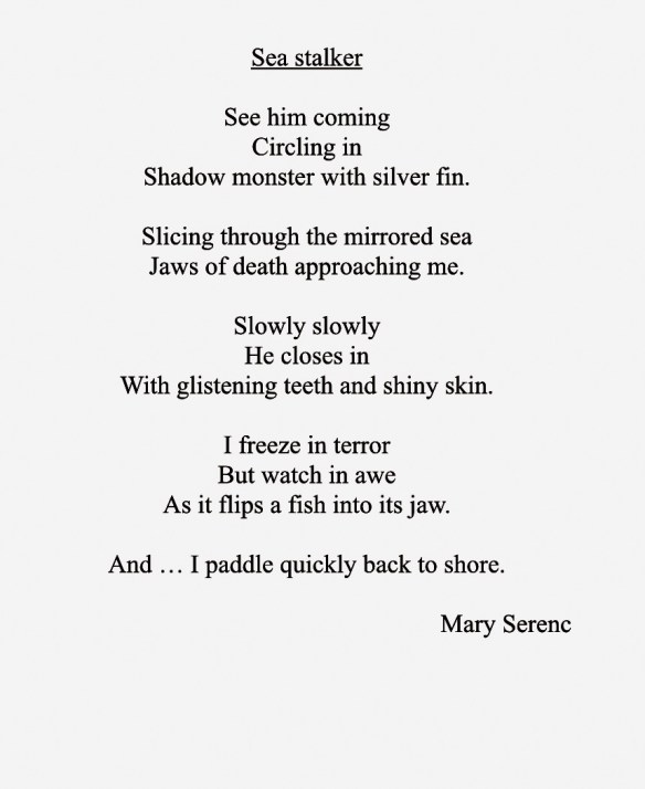 “Sea Stalker” by Mary Serenc | Australian Children’s Poetry