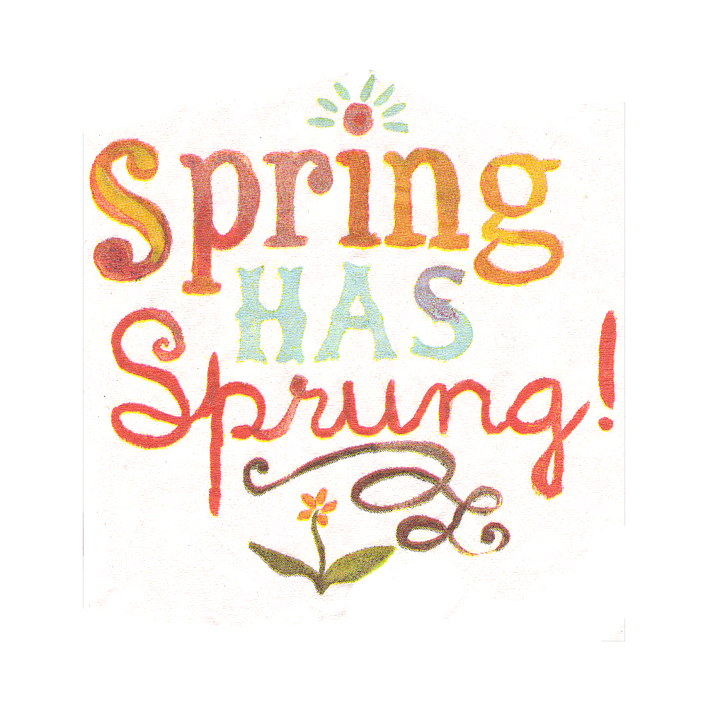 “Spring Cycle” by James Aitchison | Australian Children’s Poetry