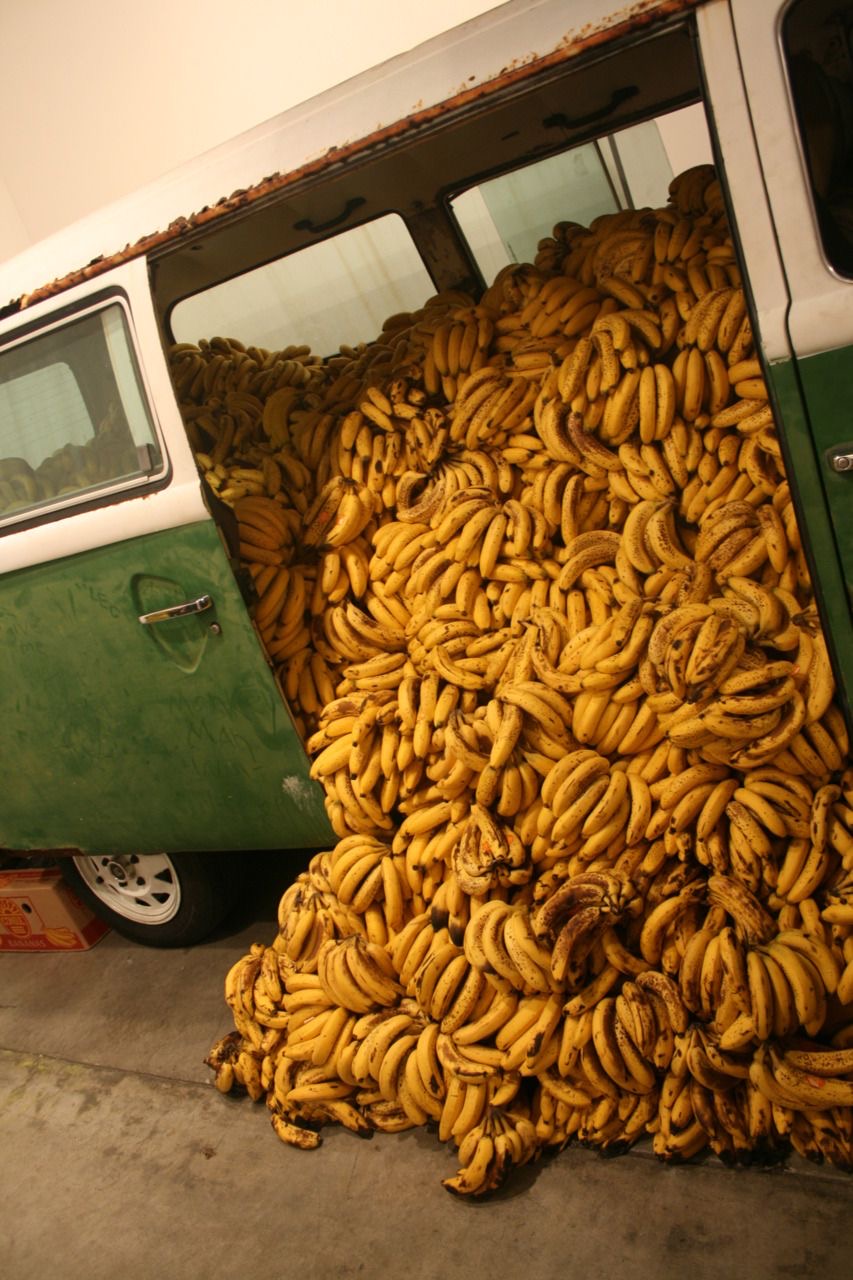 “Banana on the bus” by James Aitchison | Australian Children’s Poetry