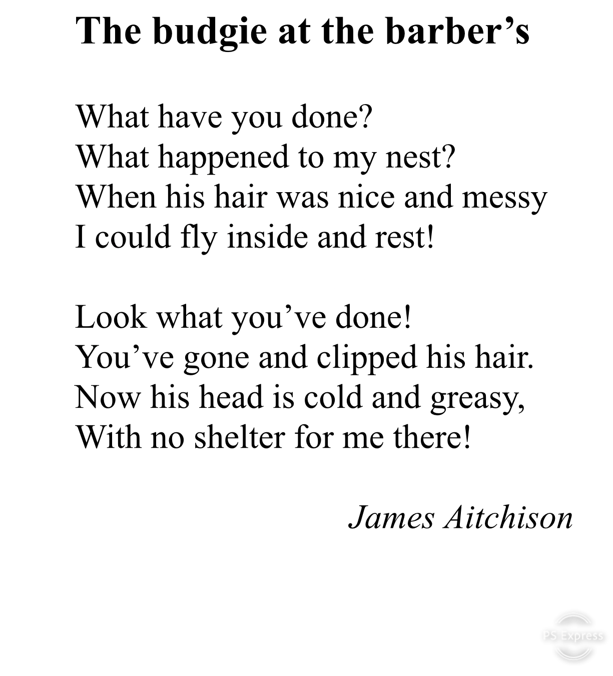 “The budgie at the barber’s” by James Aitchison | Australian Children’s ...