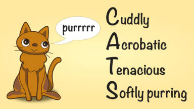 Prompt #4 Acrostic Poetry | Australian Children’s Poetry