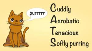 Prompt #4 Acrostic Poetry | Australian Children’s Poetry