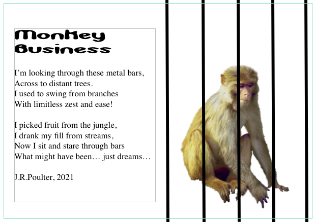 “Monkey Business” by J R Poulter | Australian Children’s Poetry
