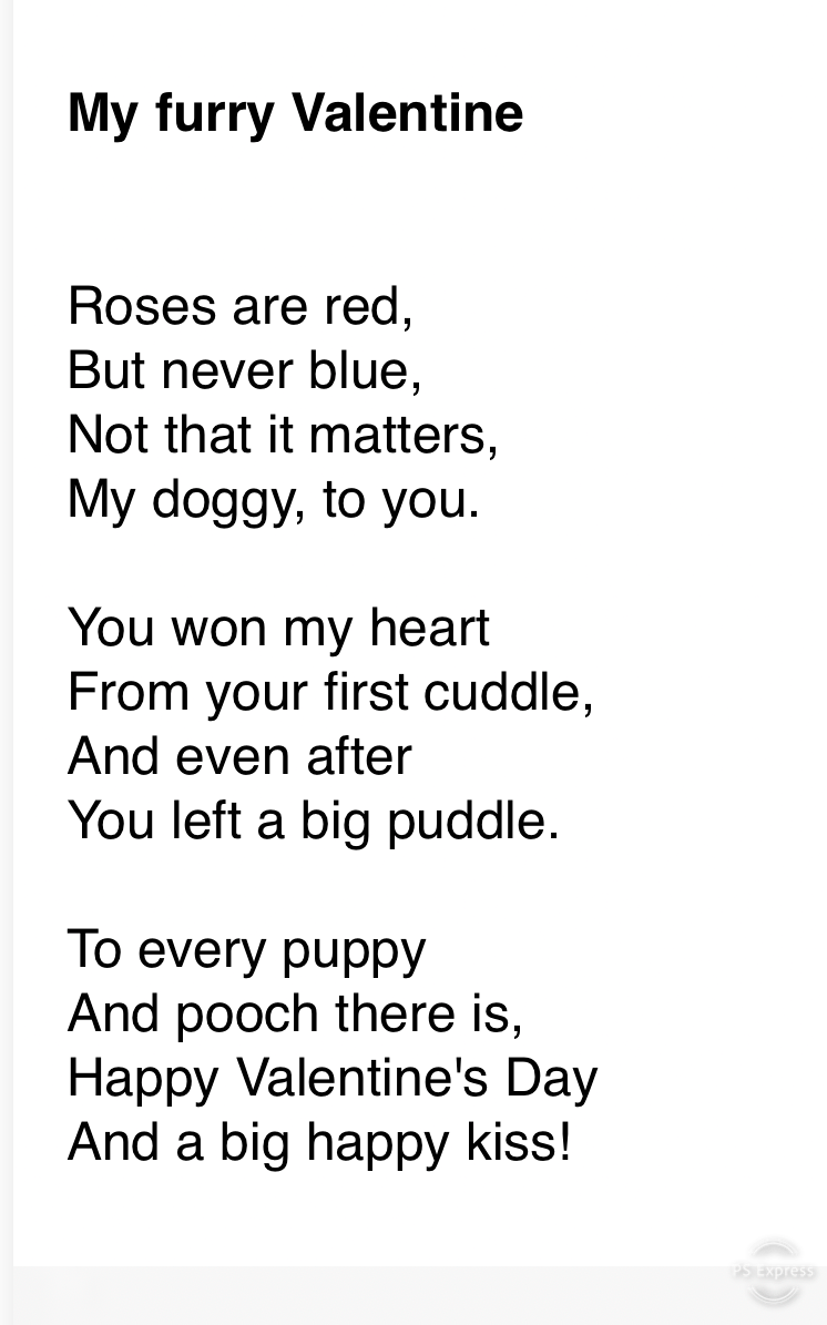 “My furry Valentine” by James Aitchison | Australian Children’s Poetry