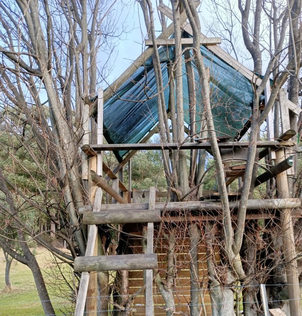 Tree House by Jacinta Lou | Australian Children’s Poetry
