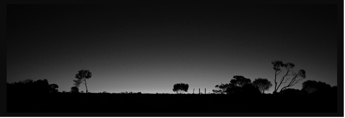 The Tjuntjun Cat by Stewart Ennis | Australian Children’s Poetry