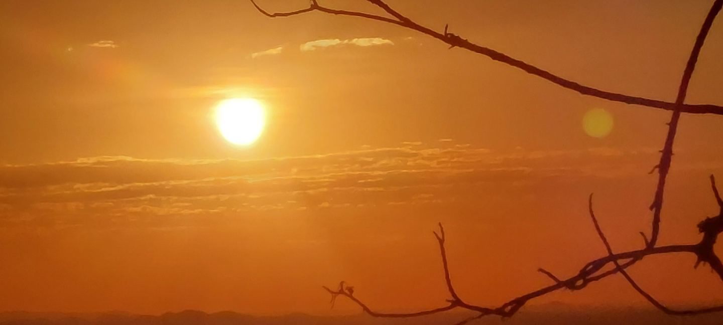 gold | Australian Children’s Poetry