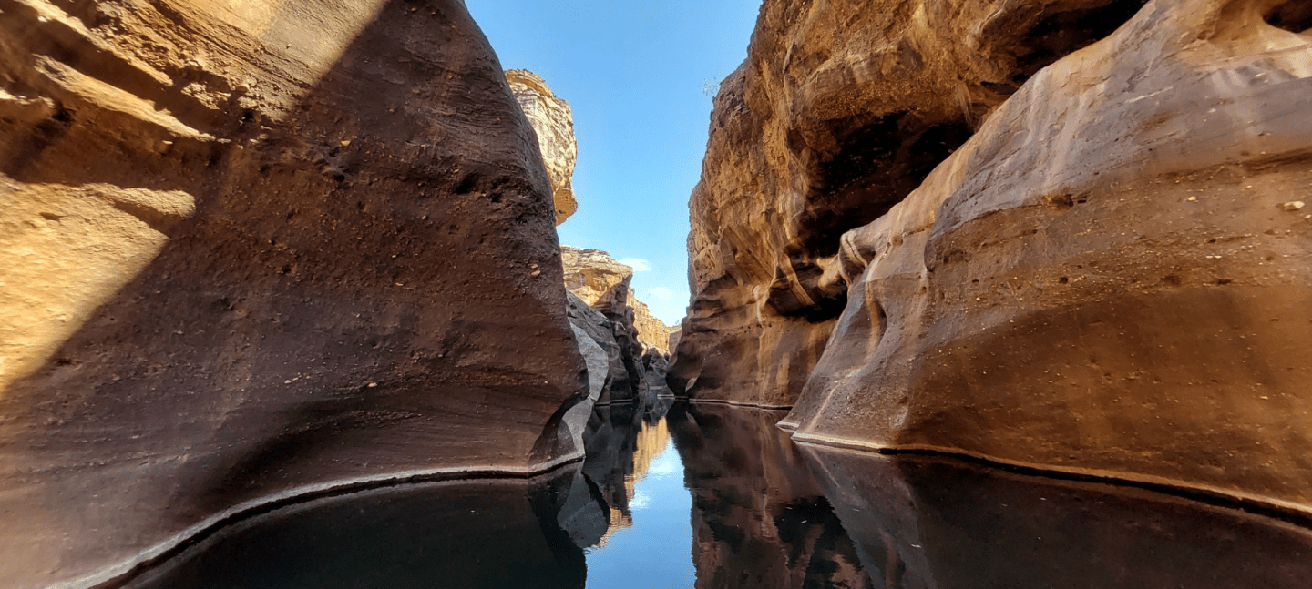 Gorgeous! by James Aitchison | Australian Children’s Poetry